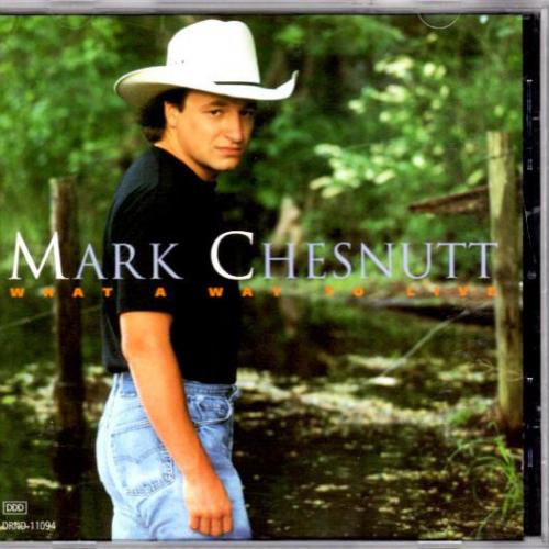 Rainy Day Woman (mark Chesnutt & Waylon Jennings) - Letra - Mark Chesnutt