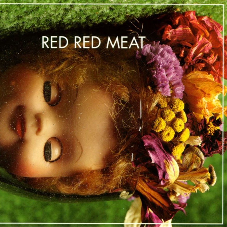 Oxtail - Letra - Red Red Meat - Musica.com