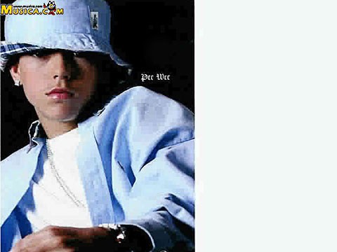 Fotos de Pee Wee, foto 2 - Musica.com
