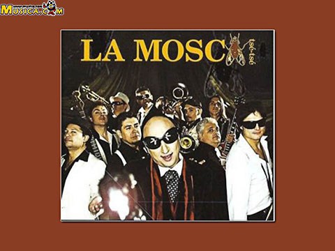 Fotos de La Mosca - Musica.com