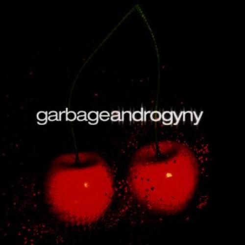 Androgyny - Letra - Garbage - Musica.com