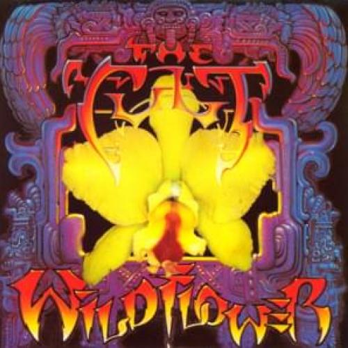 Wild Flower - Letra - The Cult - Musica.com