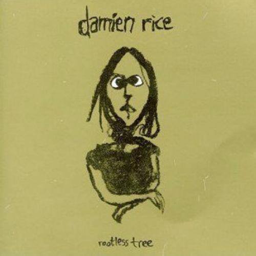 Letra de Rootless Tree en español - Damien Rice - Musica.com