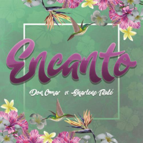 Encanto - Letra - Don Omar y Sharlene Taulé - Musica.com