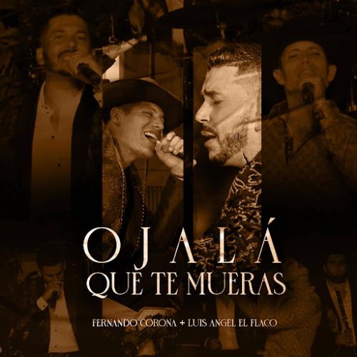 Ojalá Que Te Mueras - Análisis | Significado - Grupo Certero
