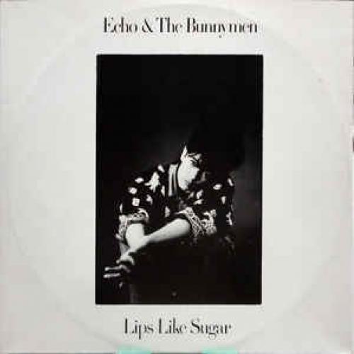 Letra de Lips Like Sugar en español - Echo & The Bunnymen - Musica.com