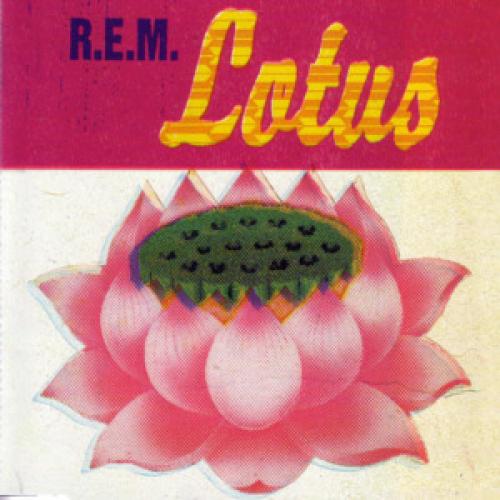 Lotus - Letra - R.E.M. - Musica.com