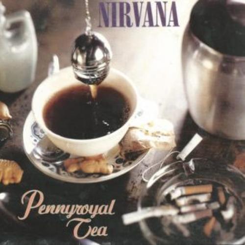 Pennyroyal Tea - Letra - Nirvana - Musica.com