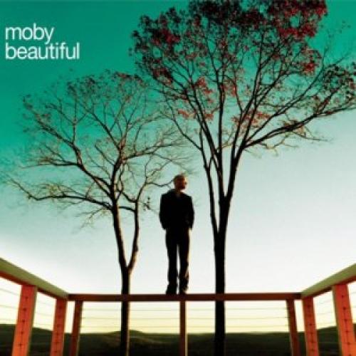 Letra de Beautiful en español - Moby - Musica.com