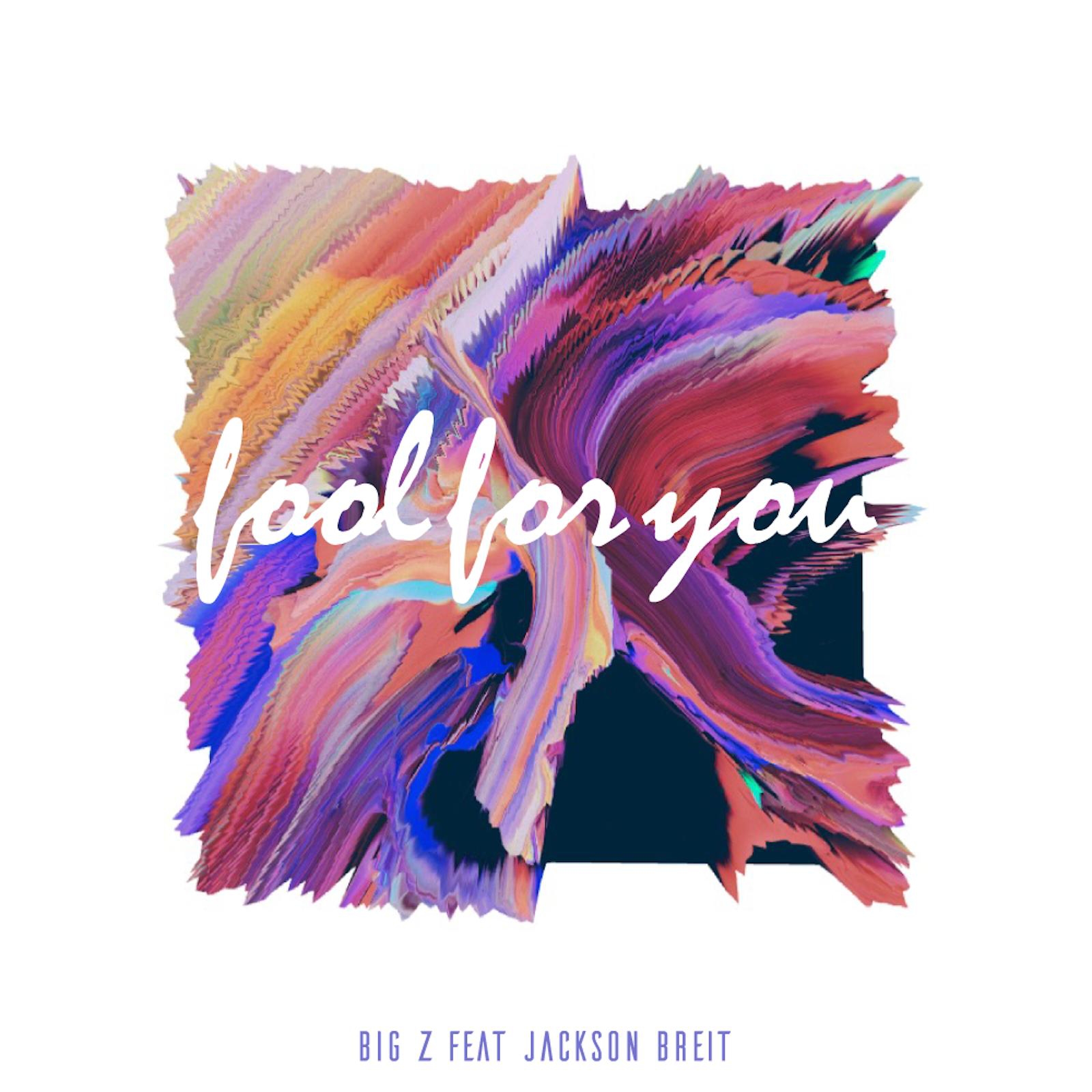 Fool for You - Letra - Jackson Breit y Big Z - Musica.com