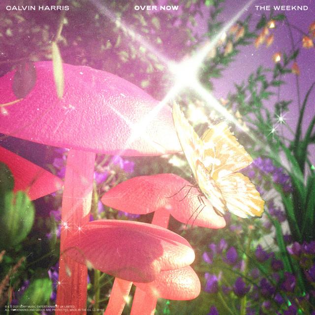 Over Now - Letra - Calvin Harris y The Weeknd - Musica.com