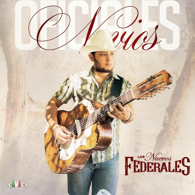 Novios Oficiales - Análisis | Significado - Los Nuevos Federales