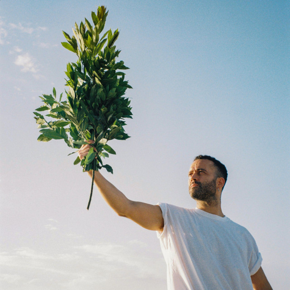 Pasodoble a Sócrates - Letra - Algora - Musica.com