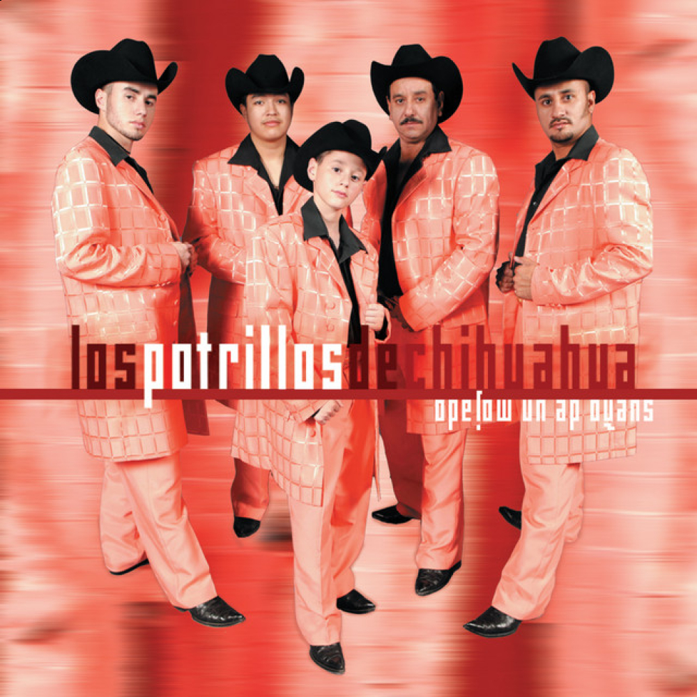 Te Vas Con El - Letra - Los Potrillos de Chihuahua - Musica.com