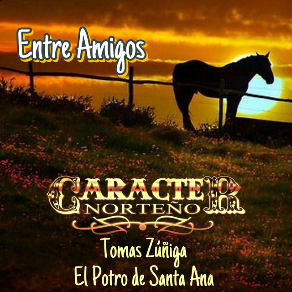 Te Llevaste Lo Mejor - Letra - Tomas Zúñiga El Potro De Santa Ana