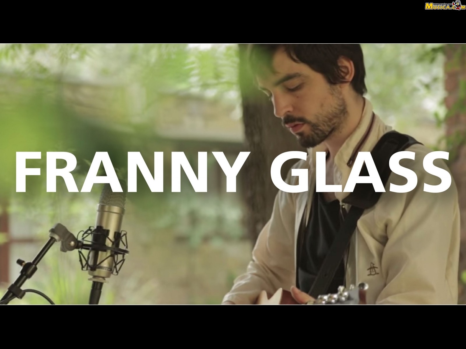 Fondo de pantalla de Franny Glass - MUSICA.COM
