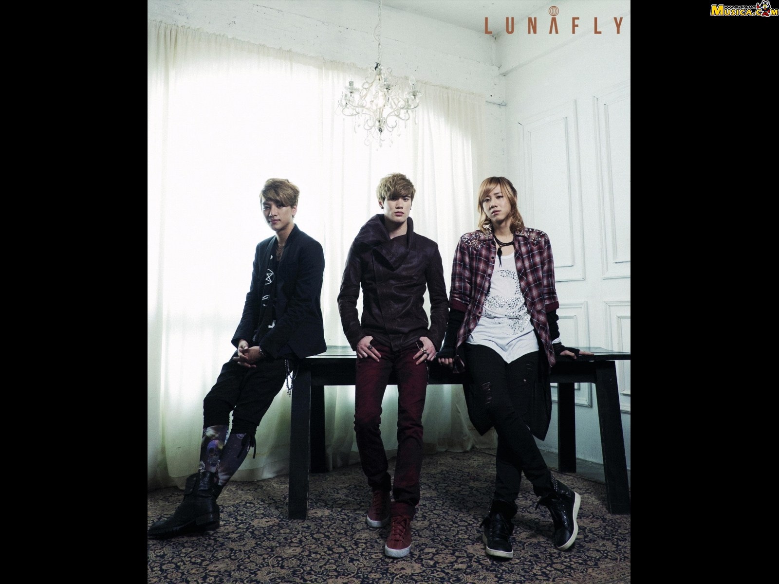 Fondo de pantalla de Lunafly - MUSICA.COM